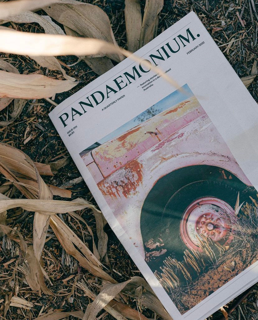 Spotlight on Pandaemonium – Harry and Kit