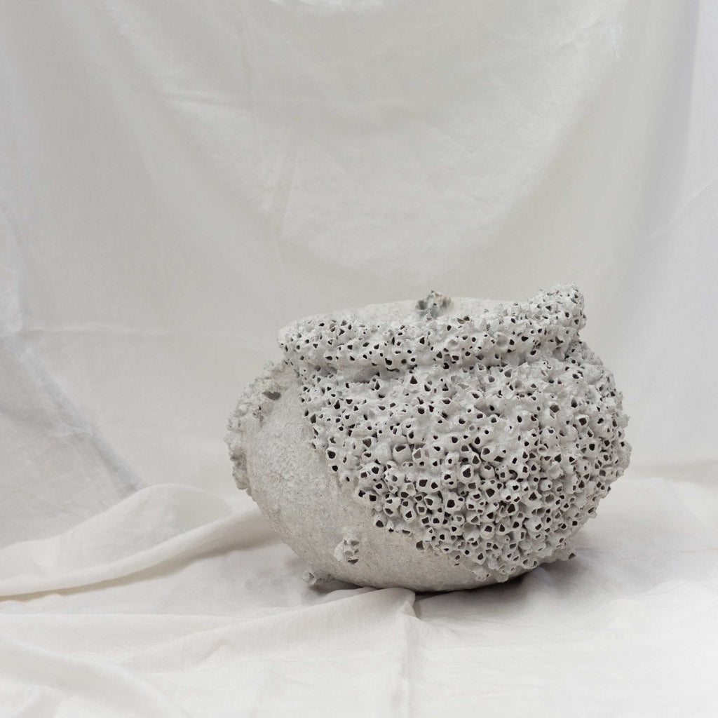 Noor Barnacle Pot – Harry and Kit