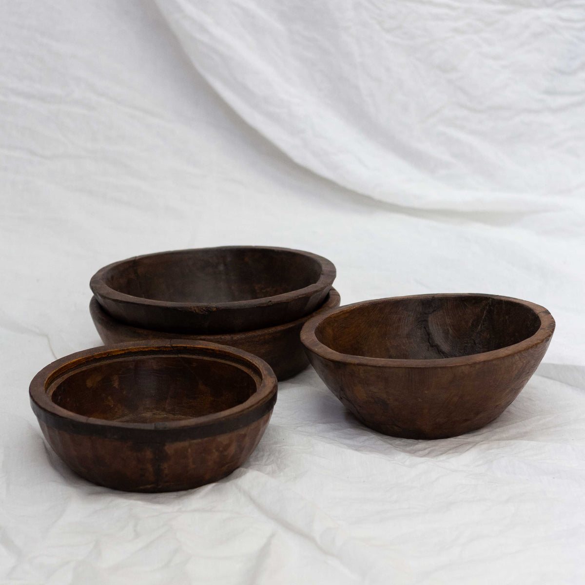 Indian Parat – Harry and Kit